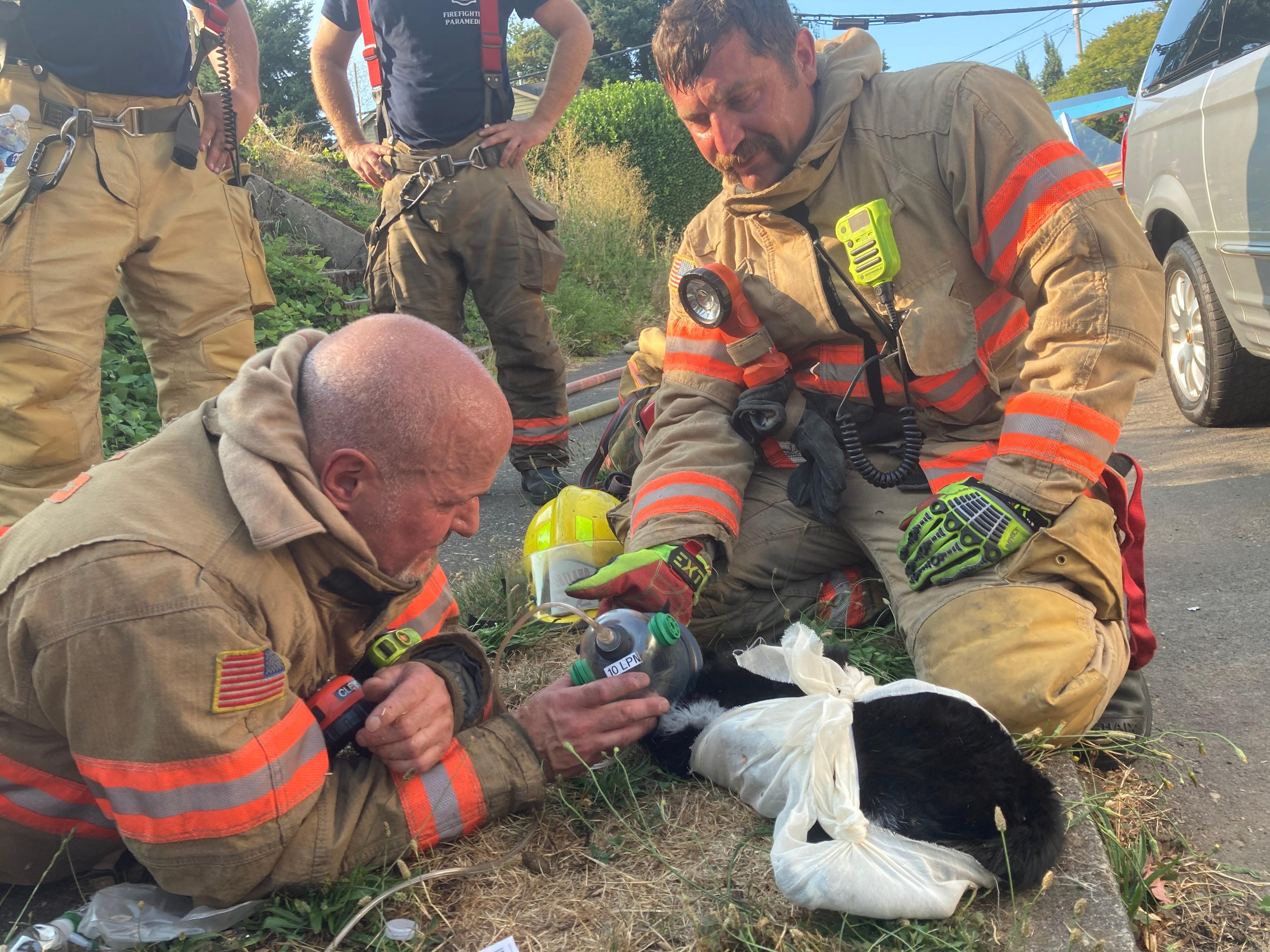 Portland Fire Responds to 2nd Alarm Fire in King Neighborhood (Photo)