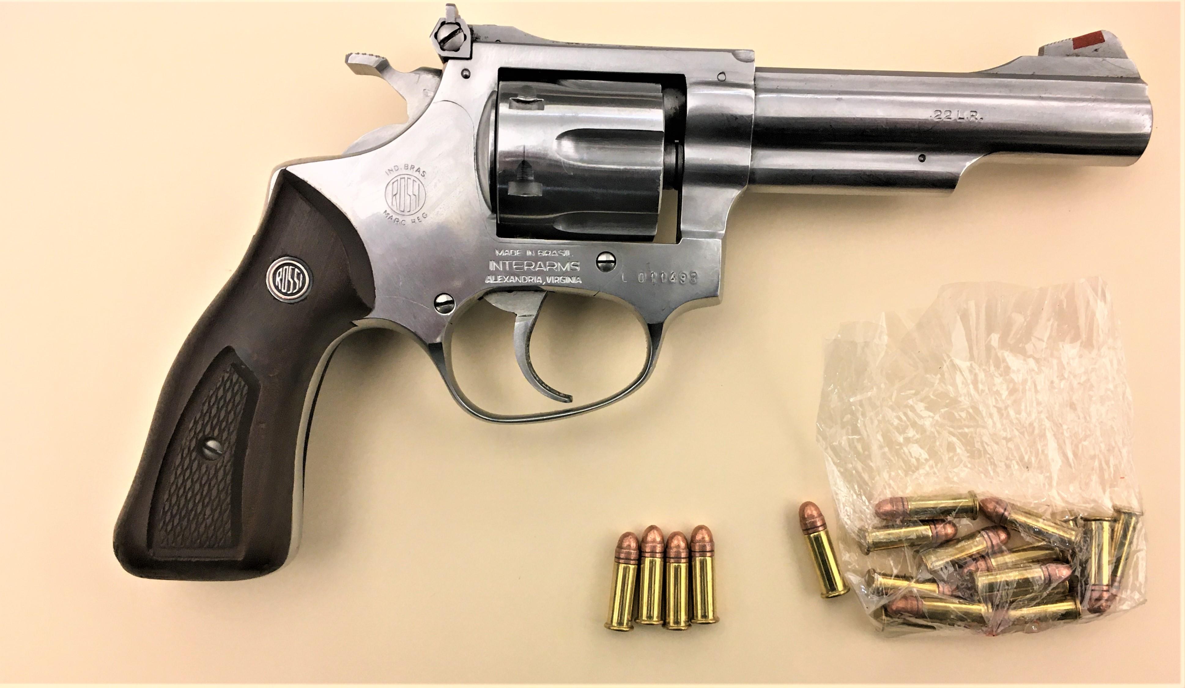 Traffic Stop Leads to Arrest of Felon with Gun (Photo)