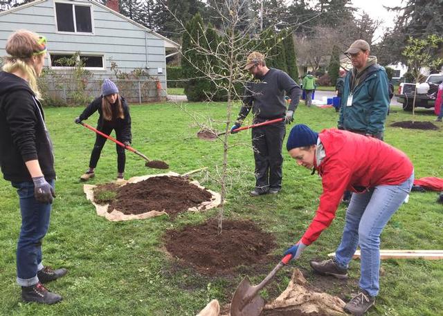 Resources for Tree Teams | Neighborhood Tree Teams | The City of ...