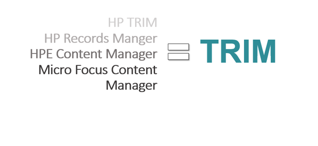 Hp Records Manager Logo